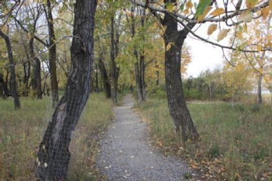 Campground Details - Wyndham-Carseland Provincial Park, AB - Alberta Parks