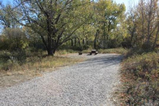 Campsite Details - 140, Wyndham-Carseland Provincial Park, AB - Alberta ...