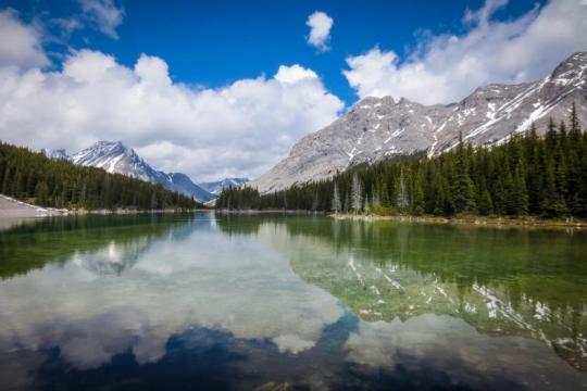 Campground Details - Little Elbow Provincial Recreation Area, AB ...
