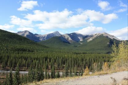 Campground Details - Little Elbow Provincial Recreation Area, AB ...