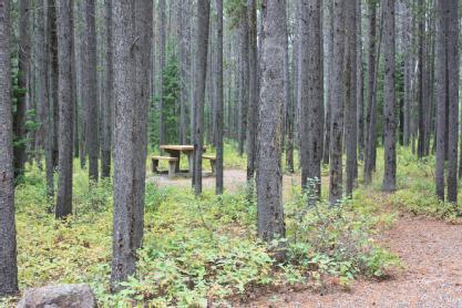 Campground Details - Chinook Provincial Recreation Area, AB - Alberta Parks