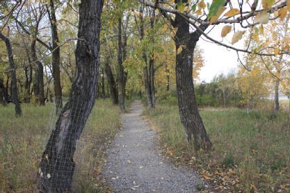 Campground Details - Wyndham-Carseland Provincial Park, AB - Alberta Parks